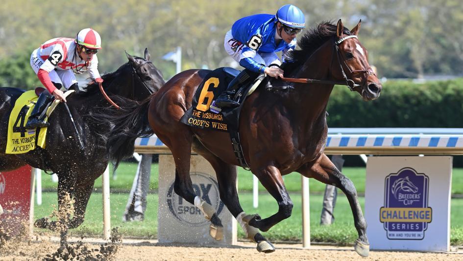 Horse of the Year Cody's Wish, Trainer Bill Mott Headline List of 2023 Eclipse Award Winners ...