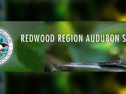 Redwood Region Audubon Society’s Student Nature Writing Contest Has ...