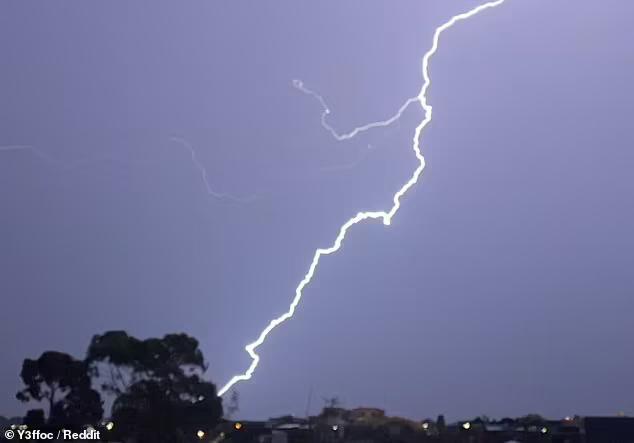 Woman dies after freak lightning strike explodes a tree in her backyard ...