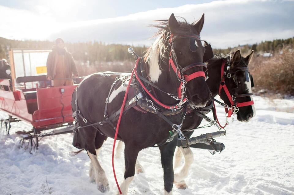 BYU-Idaho is putting on a Sleigh Ride and Dinner for students - NewsBreak