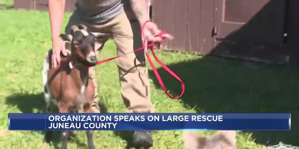 Juneau County Rescue takes in 250 neglected animals, all in need of vet ...