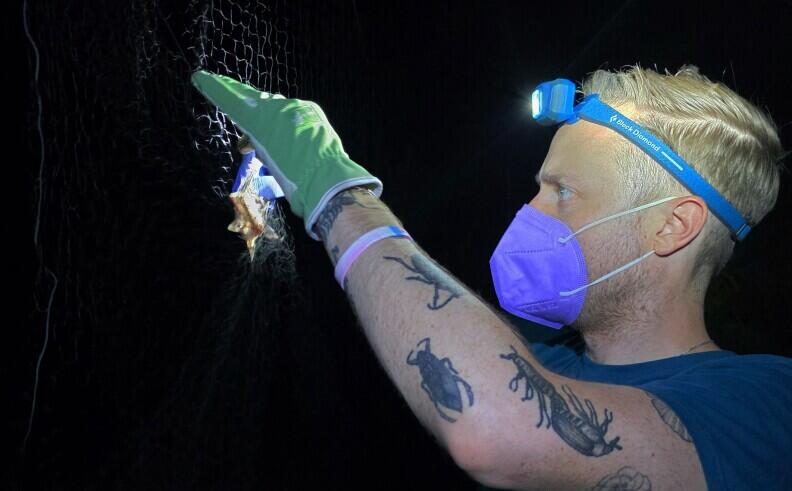 Why this biologist is leading night walks to hunt for bats along the LA ...