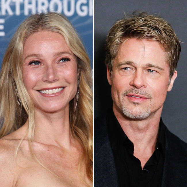 Social Media Calls Gwyneth Paltrow 'A Classist Snob' After New Biography Reveals She Thought She ...