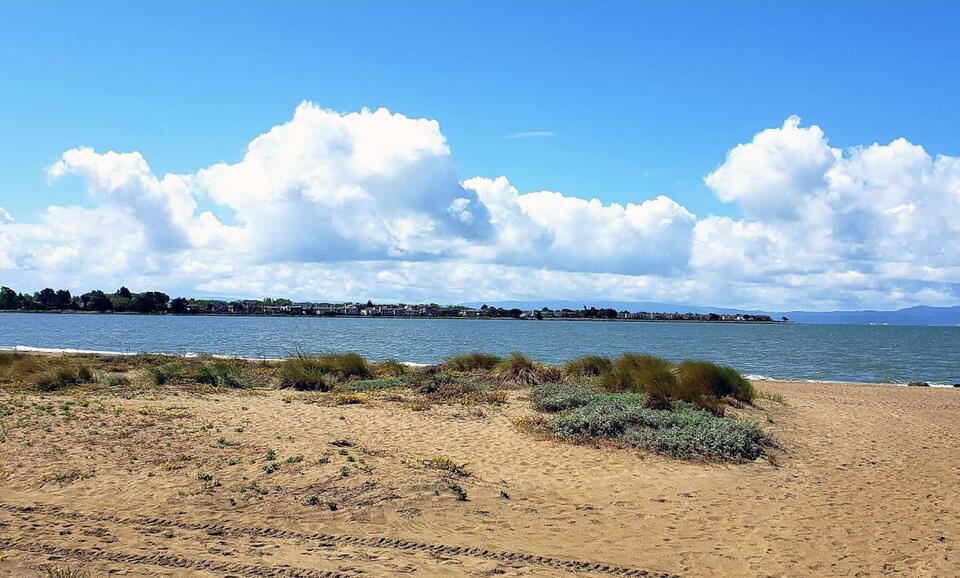 Sunday ‘Beach Takeover’ Mostly Peaceful, Fights Erupt Later at South ...