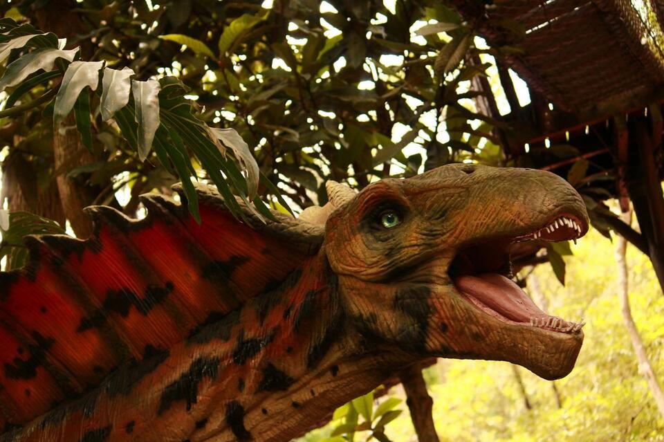Edelman Fossil Park & Museum of Rowan University in New Jersey - NewsBreak