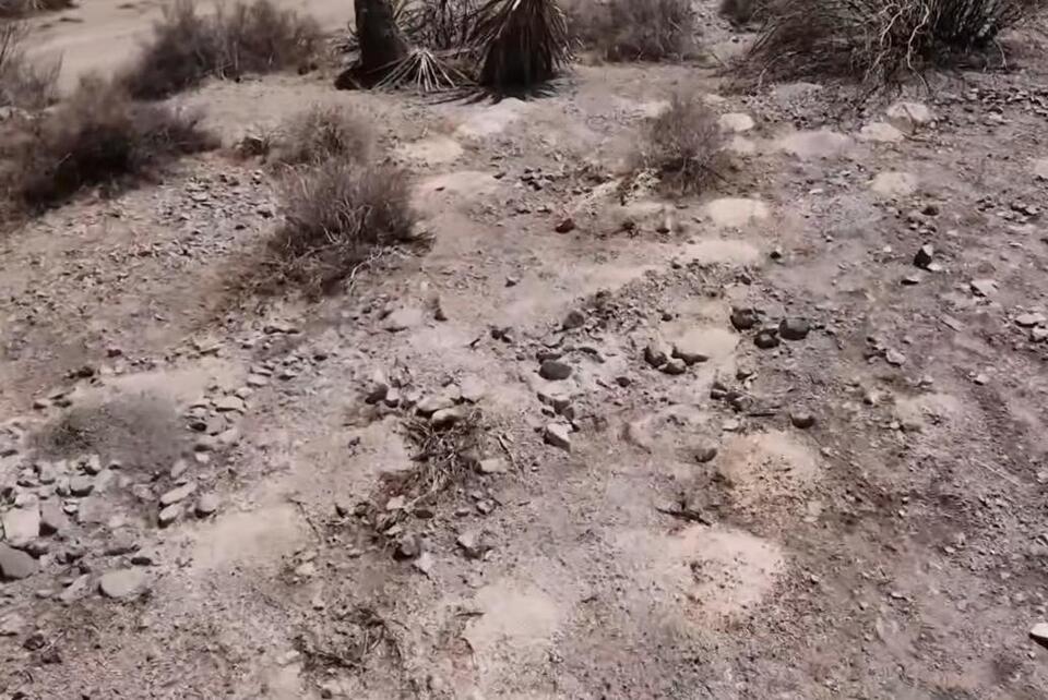 More than 300 piles of human remains have been recovered from the Vegas ...
