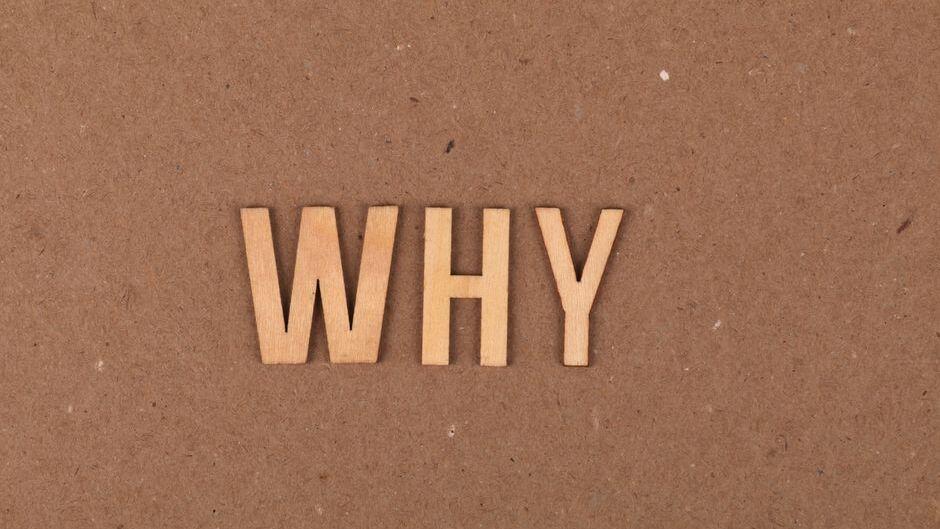 The First Time a Human Probably Asked “Why?” - NewsBreak