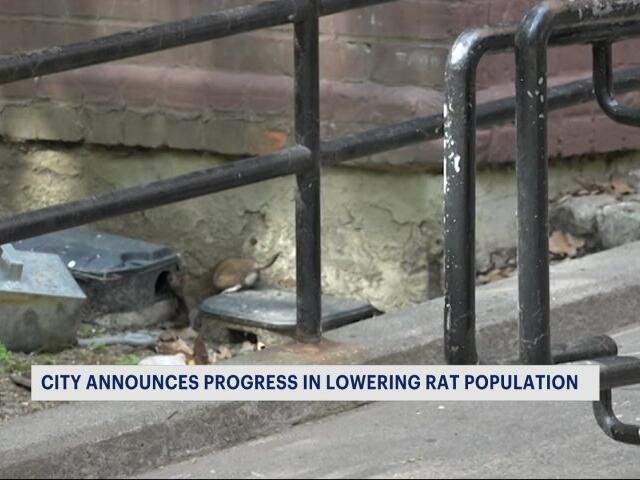 Mayor weighs in on war against rats across NYC