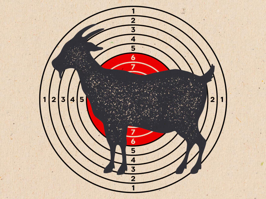 R.I.P. Cricket. Now It’s Time to Talk About Kristi Noem’s Goat.