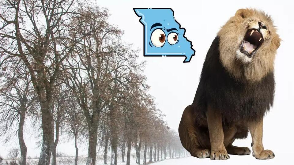 March Weather Loading Up to ‘Come In Like a Lion’ for Missouri - NewsBreak