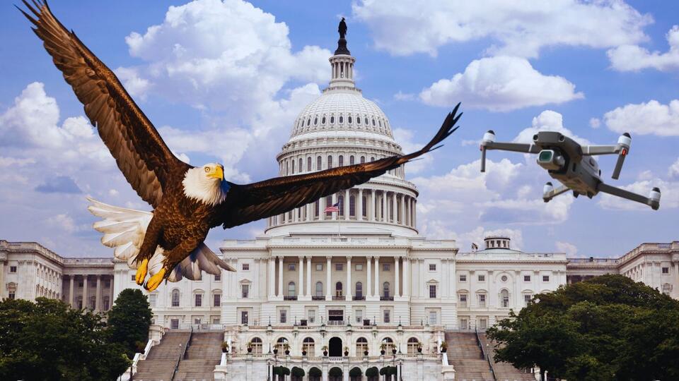 Drone users warned that filming bald eagles can violate federal ...