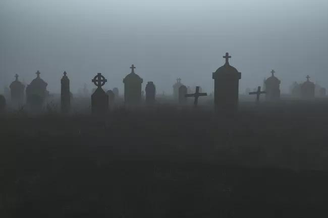 Author Investigates Twisted Legacy Of One Of History's Worst Cult ...
