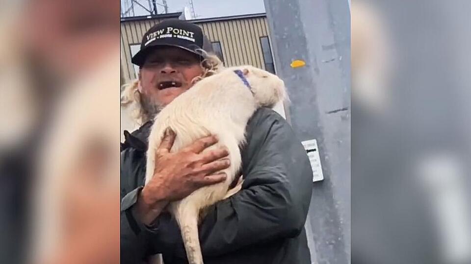 Giant Street Rat Spotted in Idaho, Goes Viral on TikTok [Video] - NewsBreak