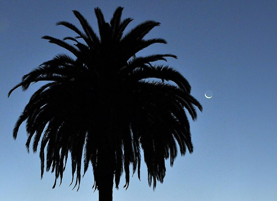 CHRB Punts to February 2026 NorCal Fair Dates Decision - NewsBreak