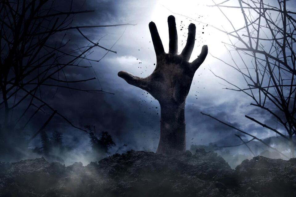 Zombie Apocalypse Survival: The Best Texas Cities Revealed - NewsBreak