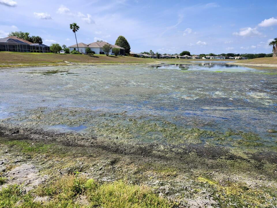 Premium water view has turned into stinky situation for Villagers ...