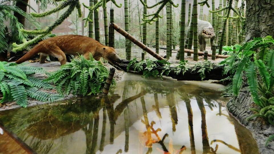 The Triassic Period: Where Dinosaurs First Began Their Reign on Earth ...