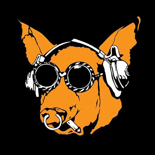 Meet The Music Directors: Ray Collier KSHE 95 St. Louis - NewsBreak