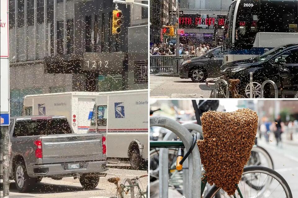 Why are there bee swarms buzzing through NYC — and what to do if you ...