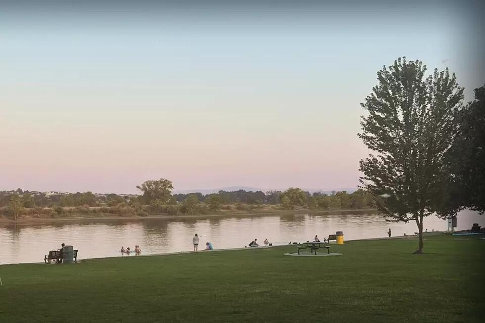 Toxic Algae Detected In Columbia River in Richland - NewsBreak