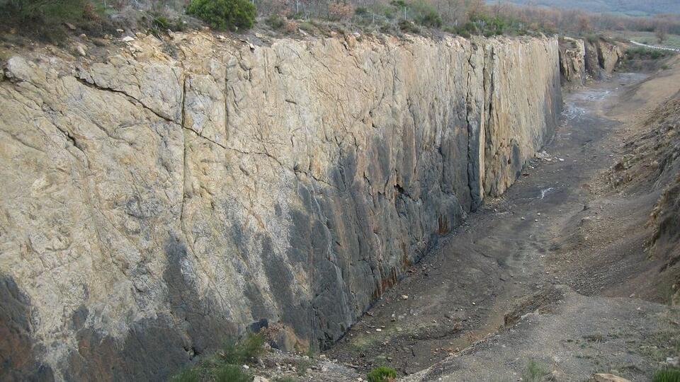 The Unseen Power of Ancient Megaflora That Shaped Earth’s Past - NewsBreak