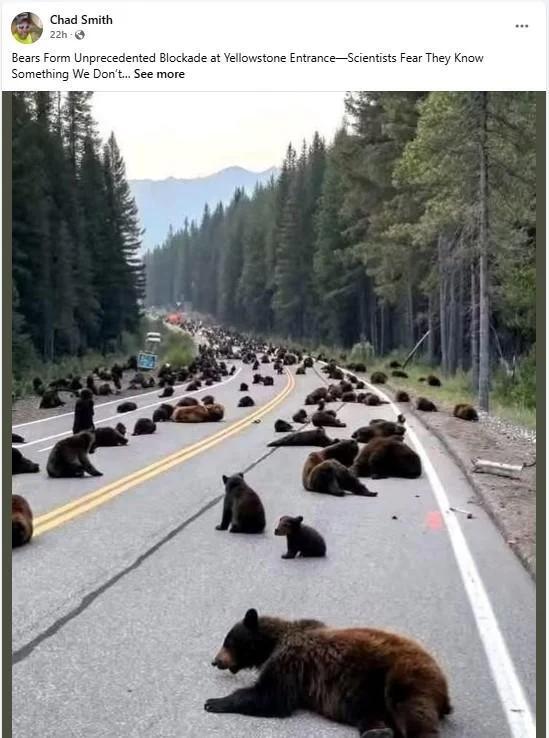 Fact Check: FAKE Image Is Not Proof Of A March 2025 Bear Blockade Of ...