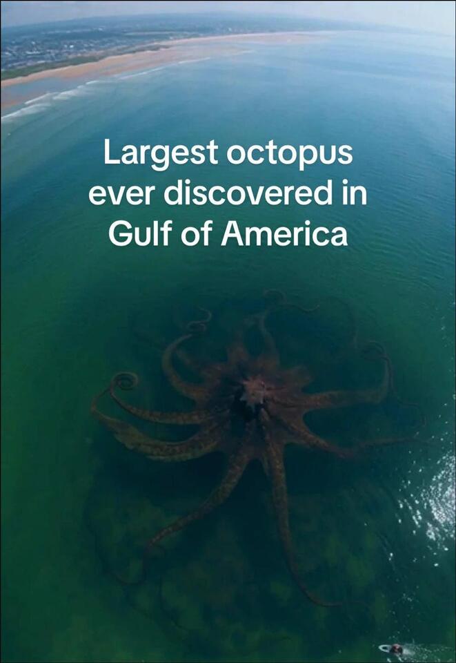 Fact Check: AI Video Of Giant 'Eclipse Octopus' In Gulf Of America Is ...