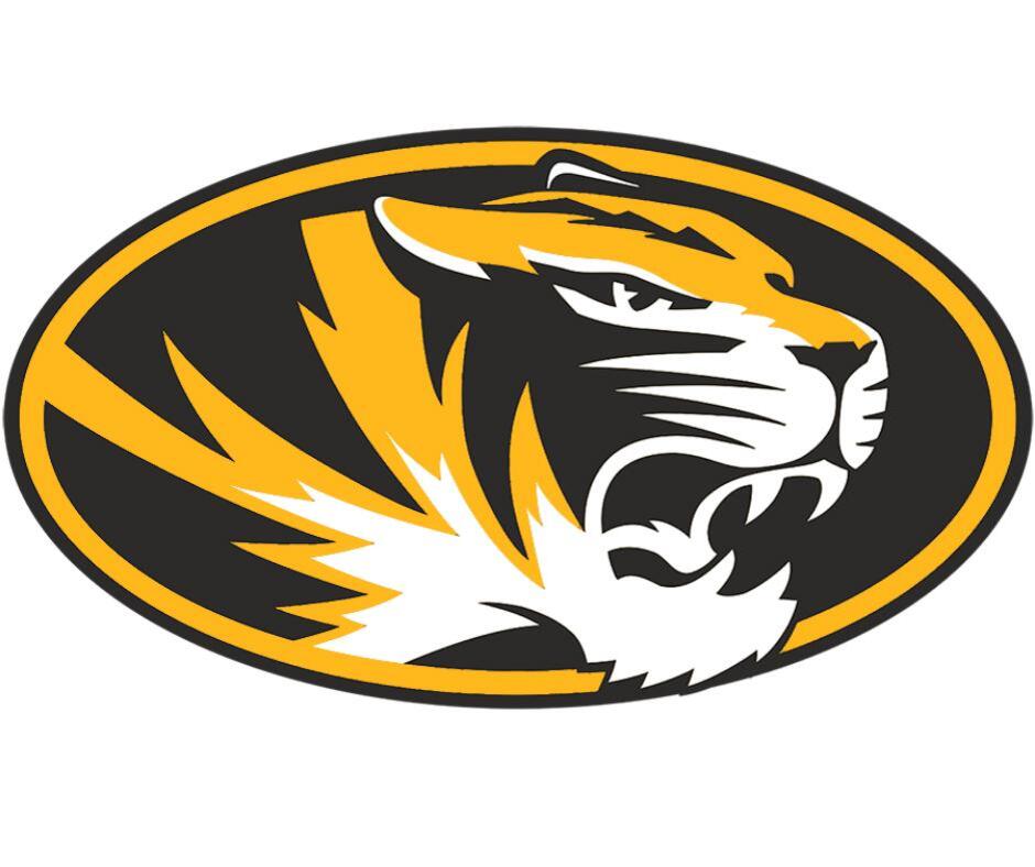 Festus Track Teams Win State Trophies - NewsBreak