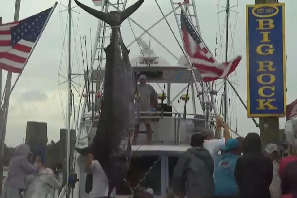 BIG ROCK DAY 5: ‘Southern Grace’ 653.7-pound blue marlin disqualified ...