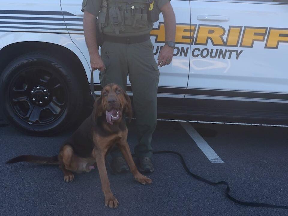 K9 Officer Rescues Lost Non-Verbal Child by Following the Boy’s Scent ...