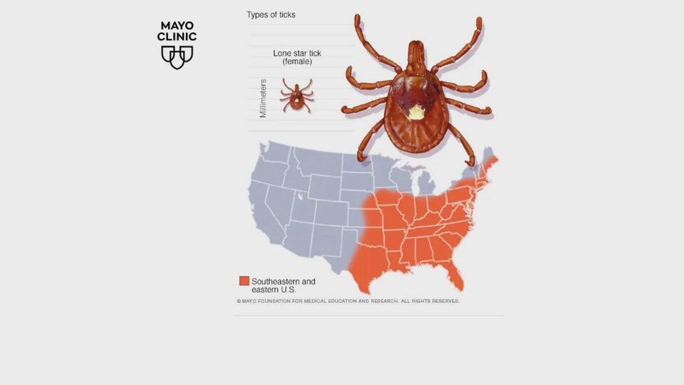 Lone Star Tick: How to protect yourself & recognize the symptoms of a ...