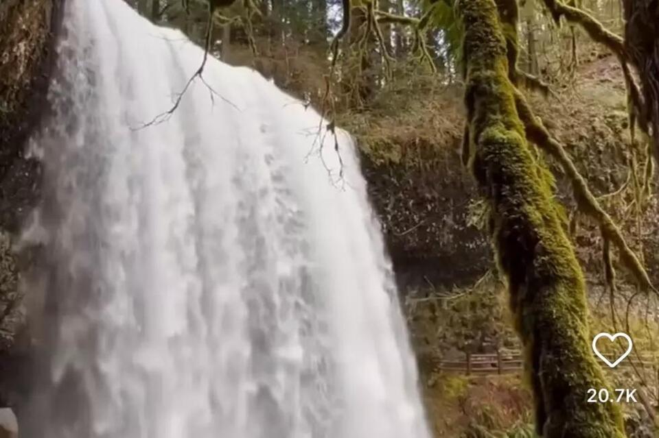 7 mile Hike in Oregon Takes You to 10 Waterfalls