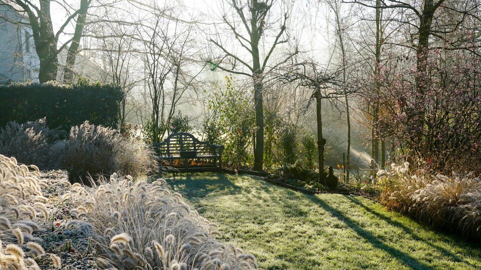 The Old Farmer’s Almanac’s 2026 Last Frost Map Is Here – And It Could ...