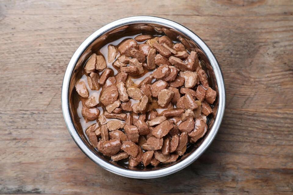 FDA warns pet owners as frozen dog food is recalled nationwide over ...