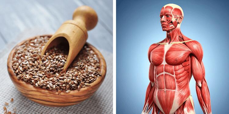 What Happens to Your Body When You Eat Flaxseeds: 7 Benefits Nobody ...