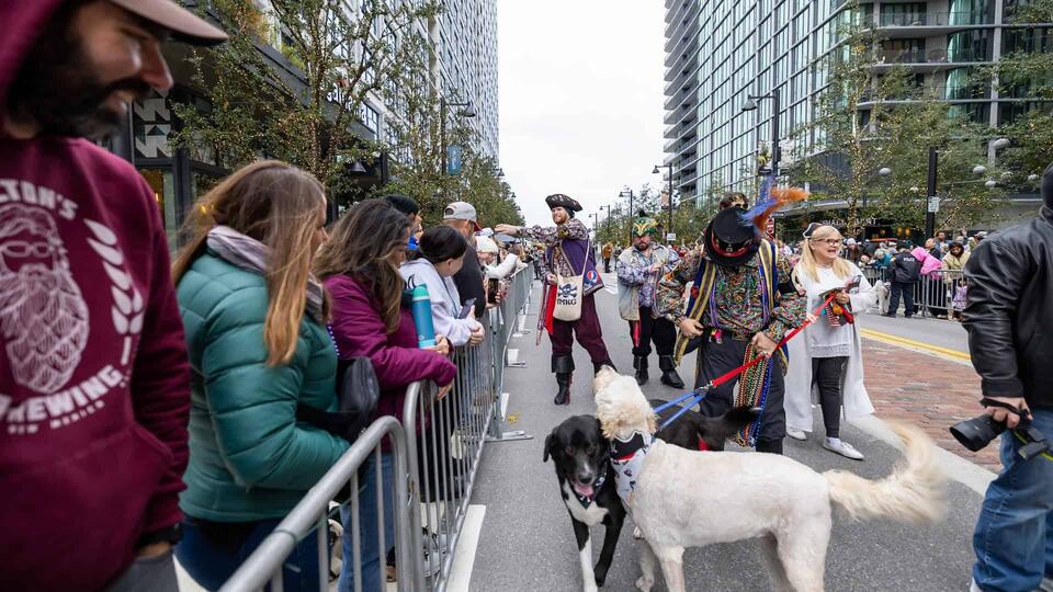A Gasparilla Puppy Pirate Parade is happening in Tampa - NewsBreak