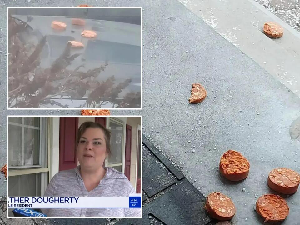 Pepperoni tossed at NJ woman’s home, car in bizarre vandalism case: ‘As ...