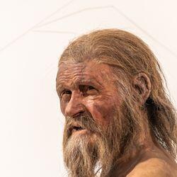 DNA From Ötzi The Iceman Reveals He Had A 5,300-Year-Old Case Of Cancer ...