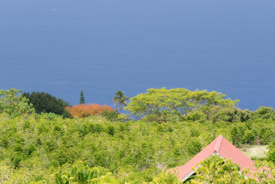 Magnitude 6.0 Earthquake Destroys Water Systems On Kona Coffee Farms ...