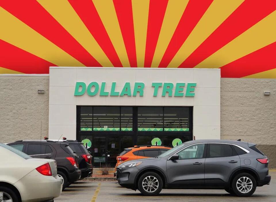 11 Best New Dollar Tree Organization Finds Under $5 - NewsBreak