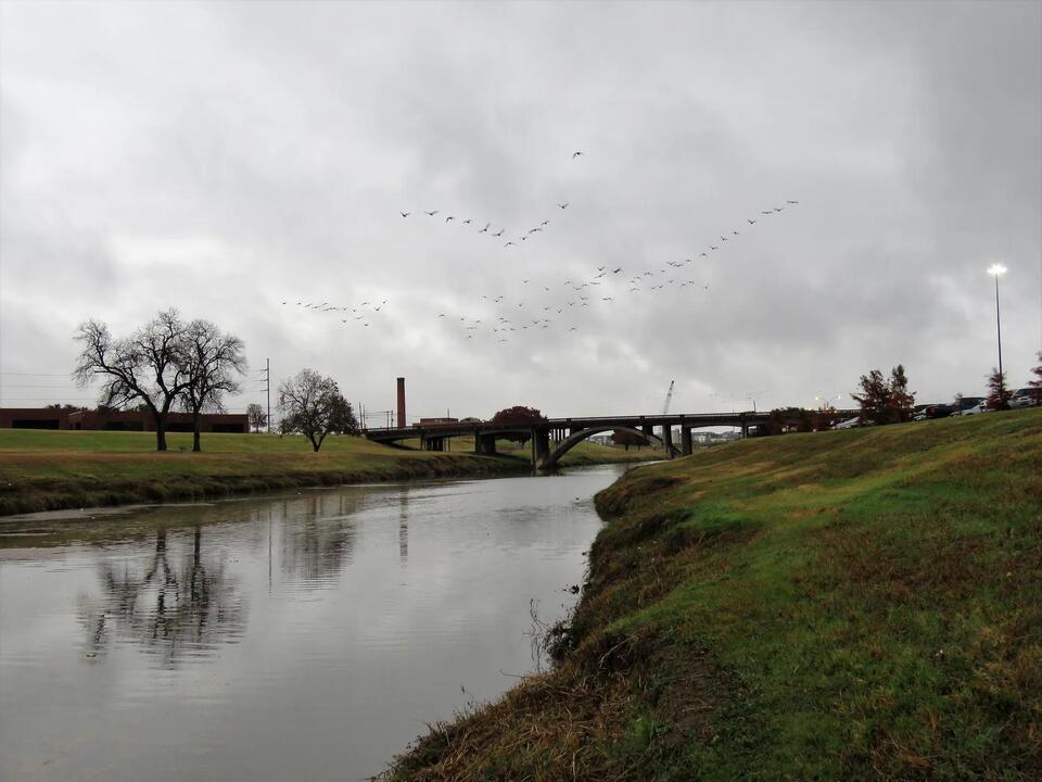 Fort Worth Burglary Suspect Tries To Escape Police By Jumping Into The