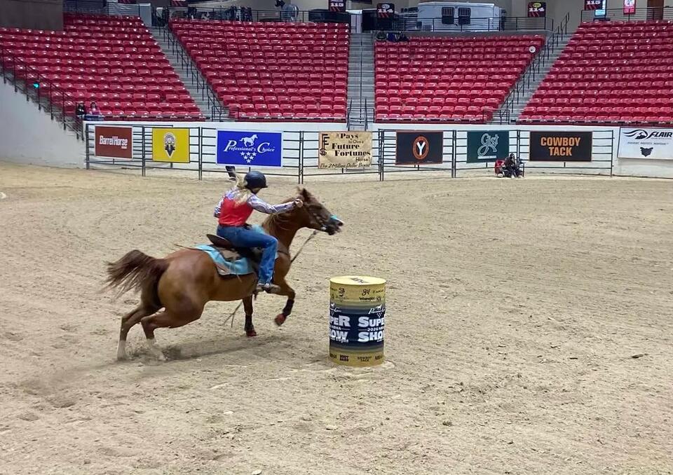 Teenage girl arrested after horses stabbed at South Point event - NewsBreak