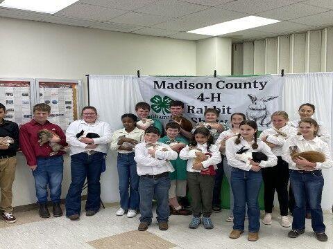 Applications for Madison County 4-H Rabbit project now open
