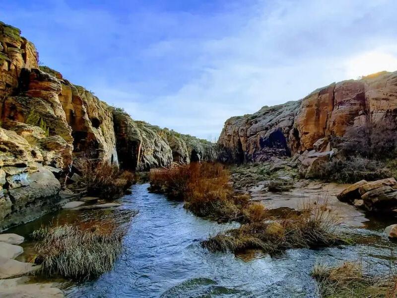 Road trip to Heber-Overgaard; what to see and do