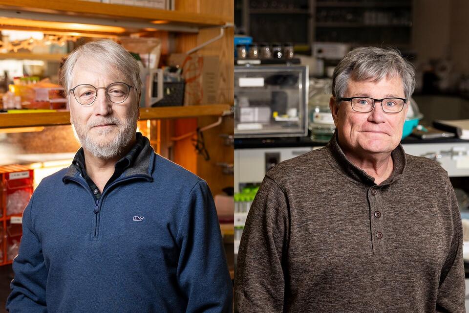 UGA announces 2025-2026 University Professors - NewsBreak