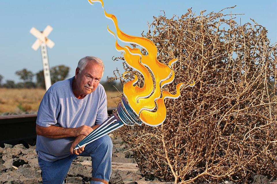Can You Legally Burn Tumbleweeds on Your Property in Washington State ...