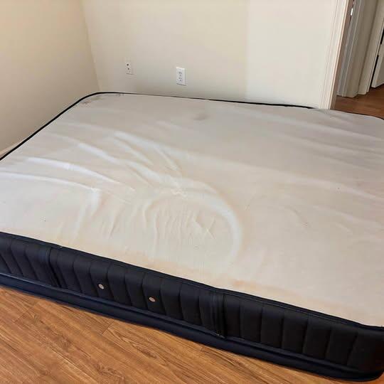 🎁 Freebies Up for Grabs in Tupelo Right Now - NewsBreak
