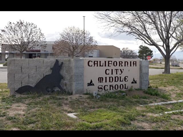 Cal City Middle School Madness: Frequent Fights