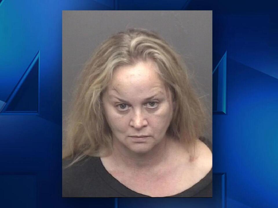 Woman originally believed to be victim arrested after standoff ...