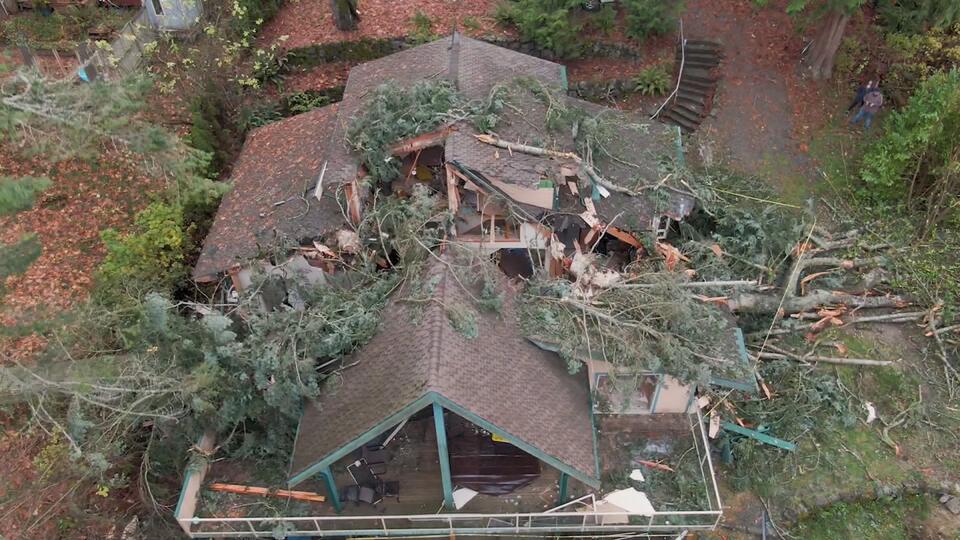 Washington's Bomb Cyclone: Recovery and resilience one year after the ...